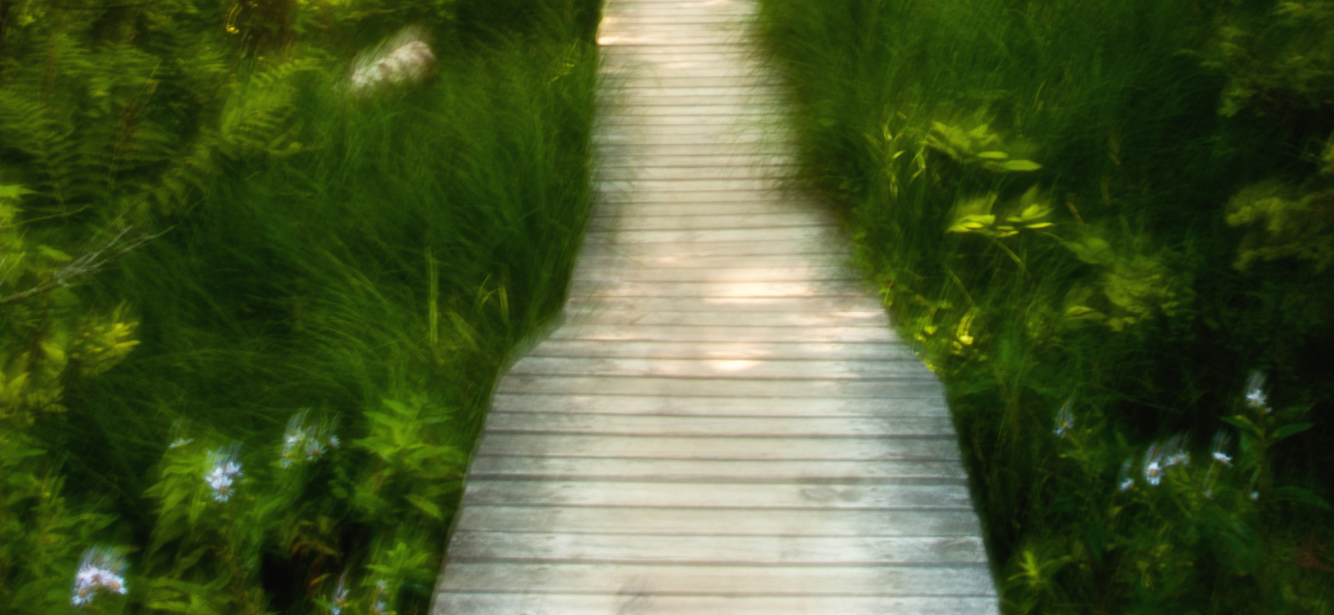 Art of Seeing – Julie Cape Hamilton Photography